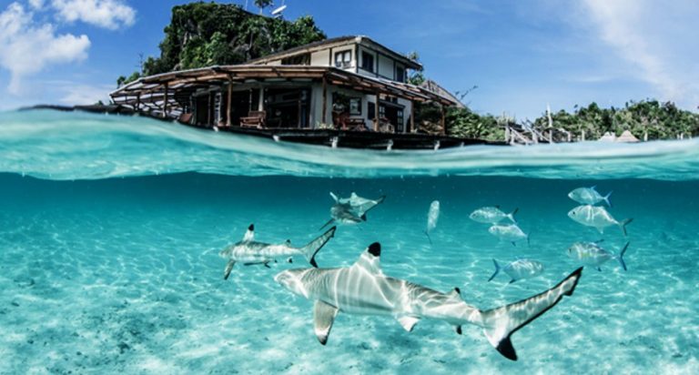 Gambar Pemandangan Alam, Pantai, Laut, Gunung Dan Air Terjun - Kang Fappin